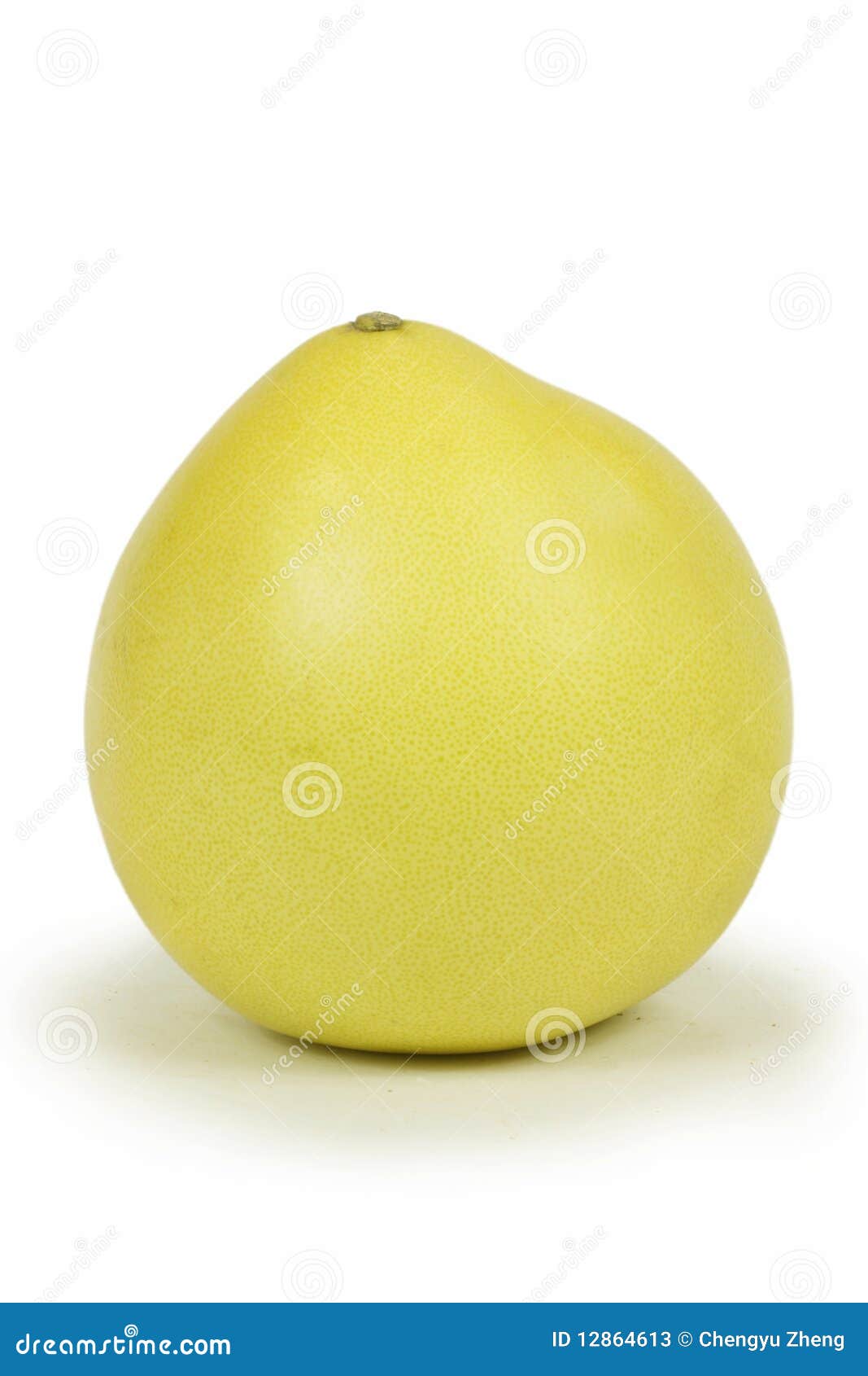 Grapefruit stock image. Image of orange, tropical, squeeze - 12864613