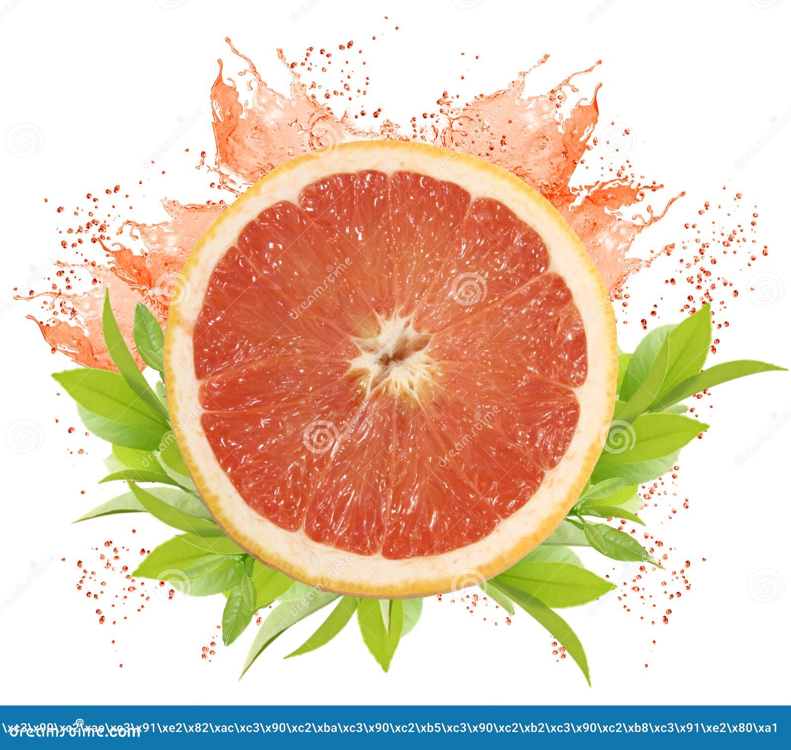 Grapefruit stock image. Image of organic, citrus, closeup - 15088665