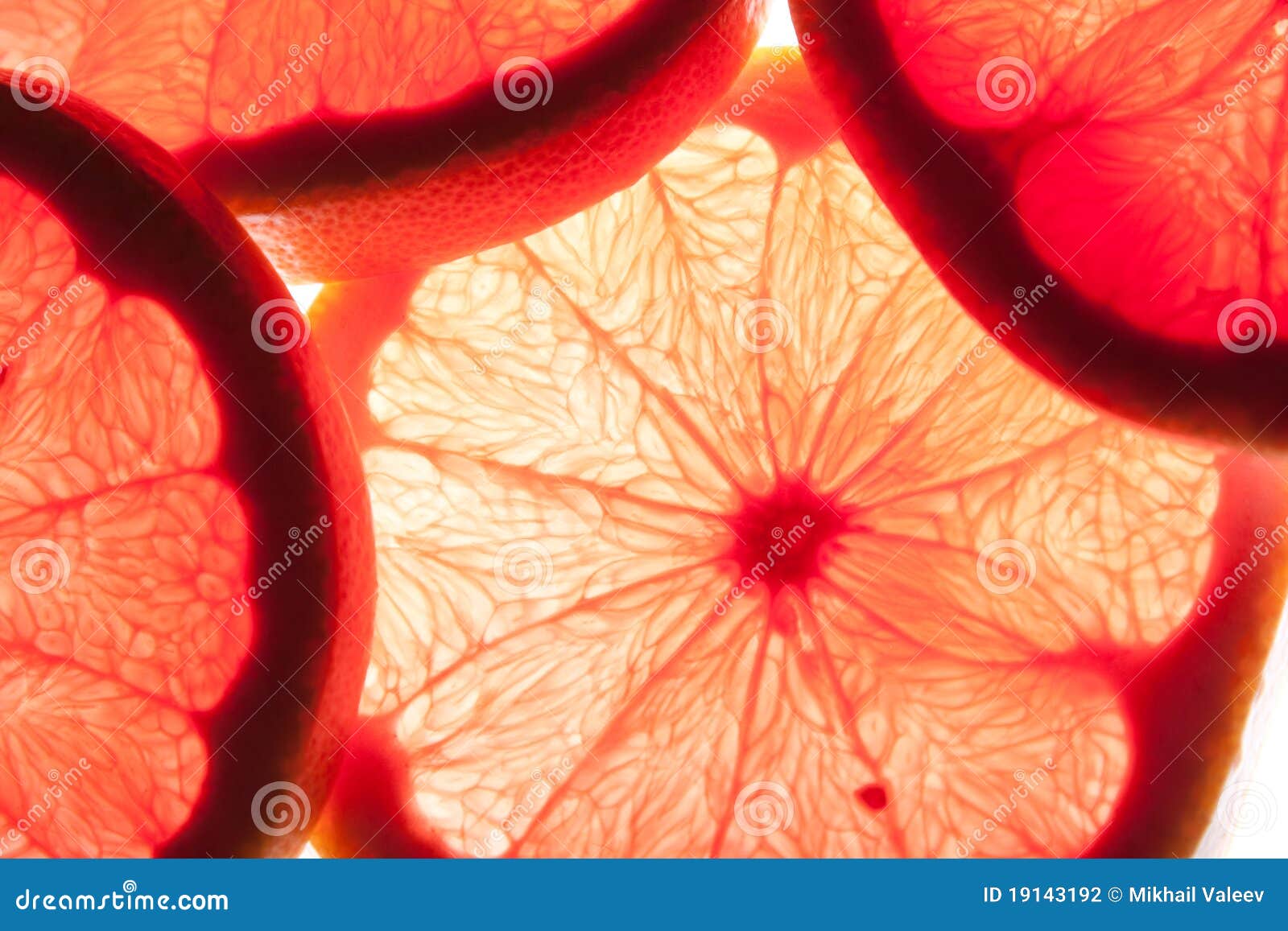 Grapefruit stock photo. Image of cell, light, health - 19143192