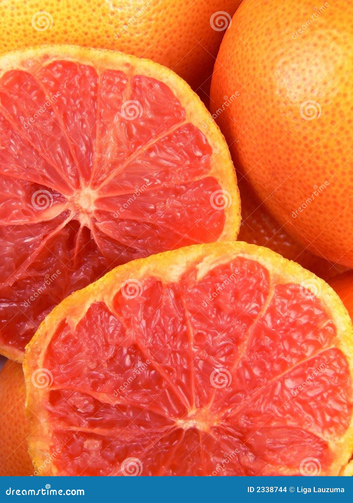 Grapefruit stock photo. Image of citrus, background, selection - 2338744