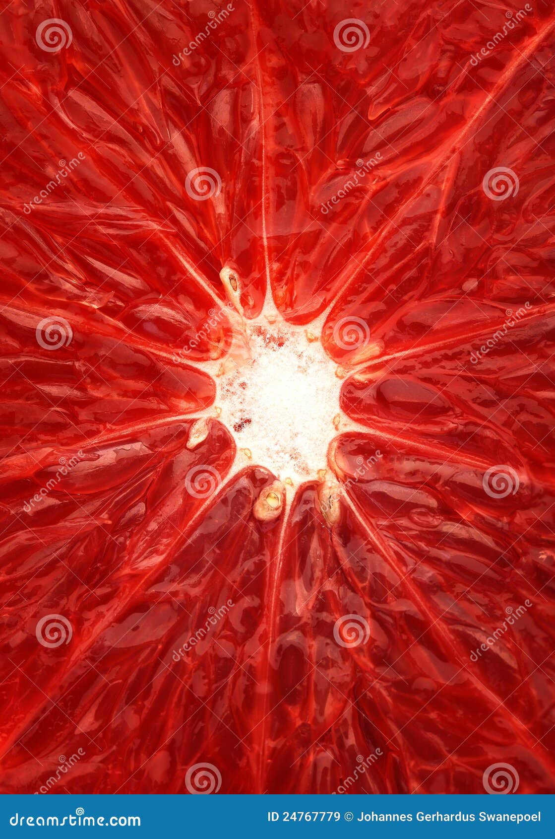 Grapefruit close-up stock image. Image of heallthy, food - 24767779