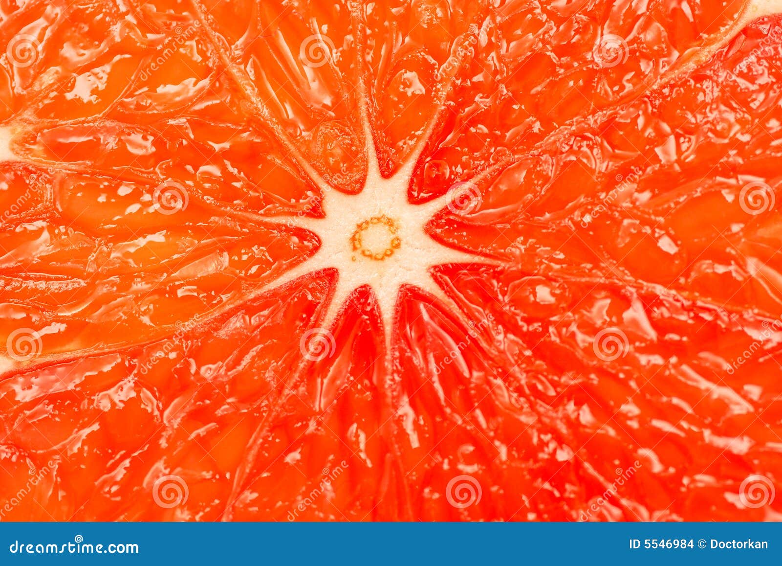 Grapefruit. Close-up. stock photo. Image of nature, juicy - 5546984