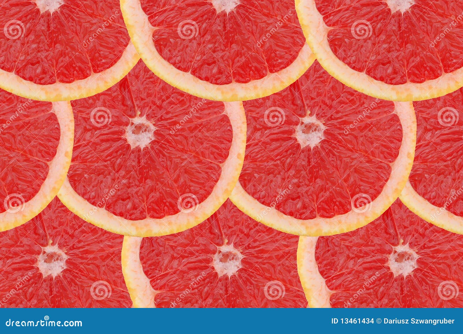 Grapefruit composition stock photo. Image of exotic, flower - 13461434