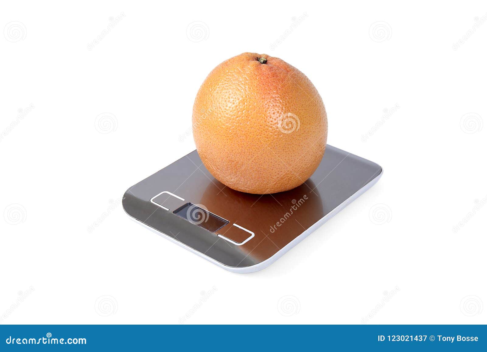 Grapefruit on a Food Scale stock image. Image of fruits - 123021437