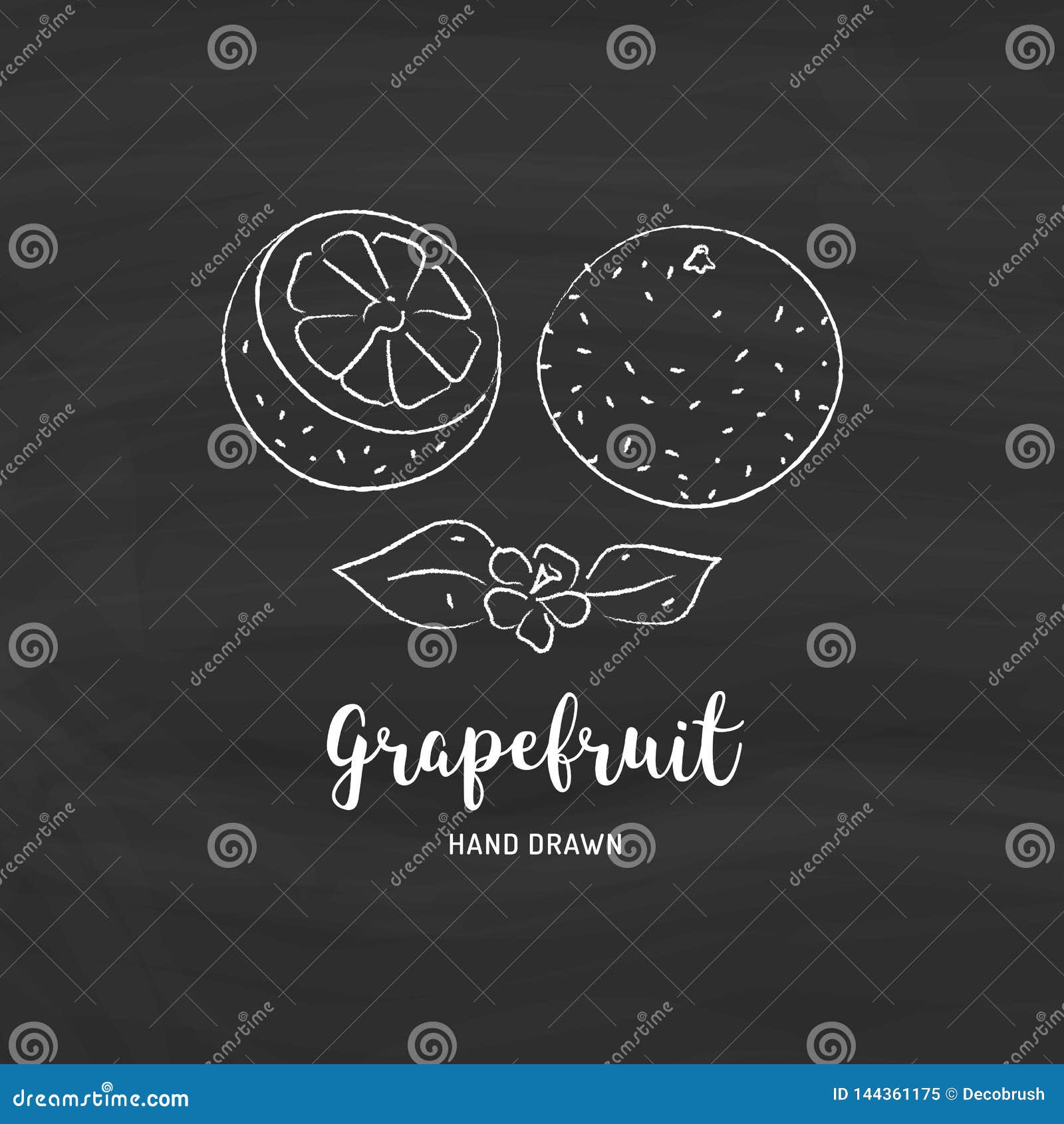 Grapefruit Fruit Drawing. Sketch of Grapefruits with Chalk on ...