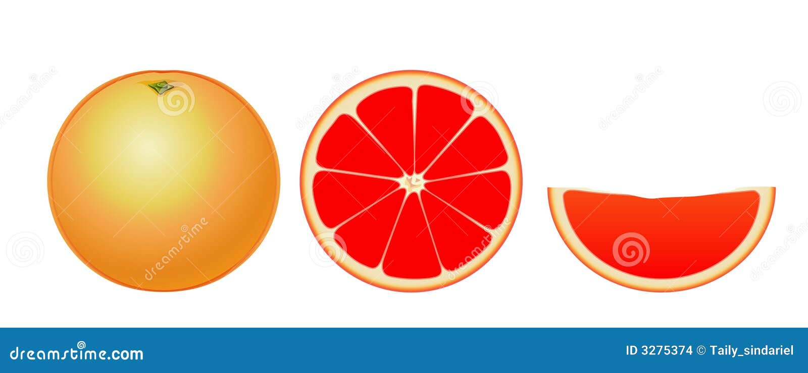 Grapefruit Isolated (simple) Stock Vector - Illustration of citrus ...