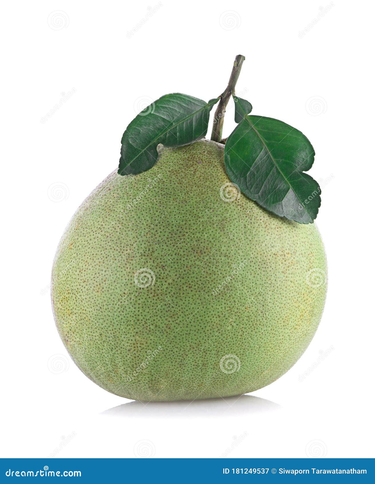 Grapefruit Isolated on White Background Stock Image - Image of juice ...