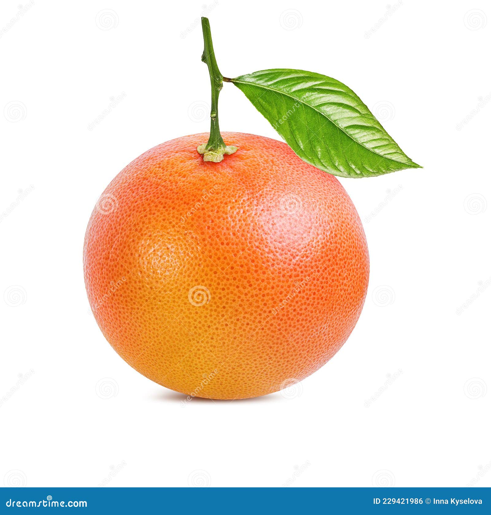 Grapefruit Isolated on White Stock Photo - Image of healthy, orange ...