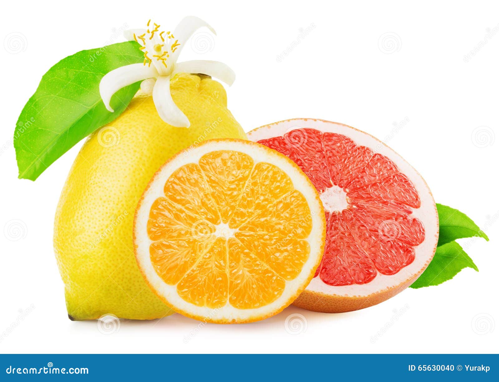 Grapefruit, Lemon and Orange Isolated on the White Background Stock ...