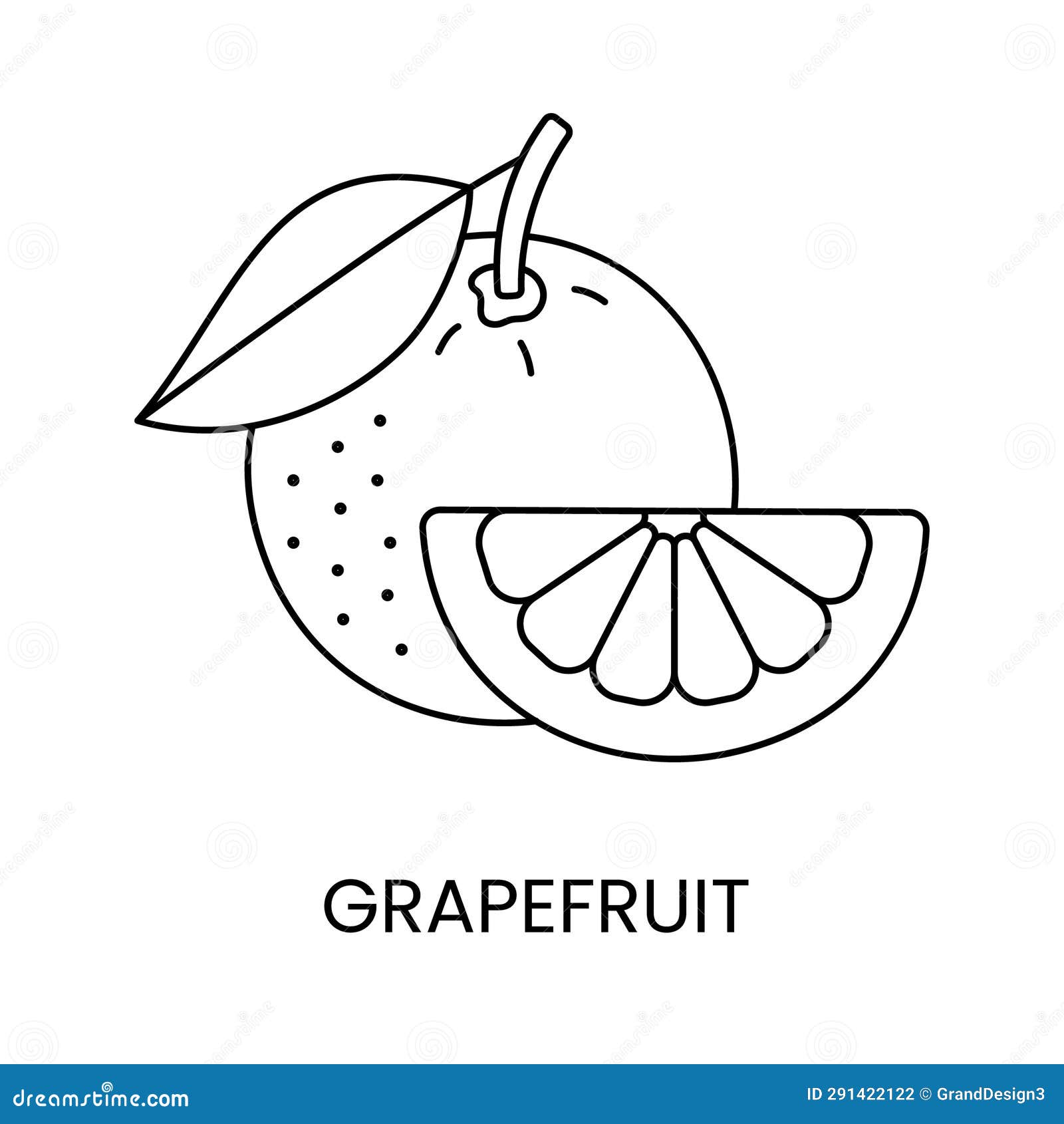 Grapefruit Line Icon in Vector, Citrus Fruit Illustration Stock ...