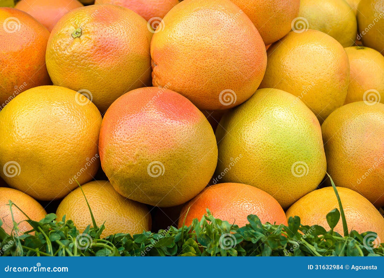 Grapefruit on Market Stand stock photo. Image of fruit - 31632984