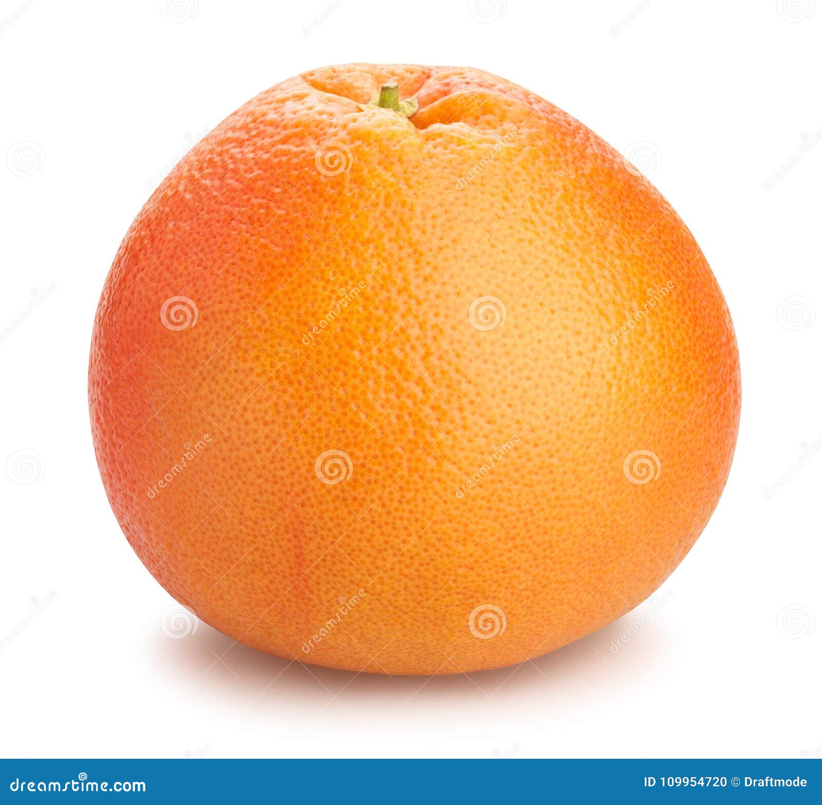 Grapefruit stock photo. Image of single, side, clipping - 109954720