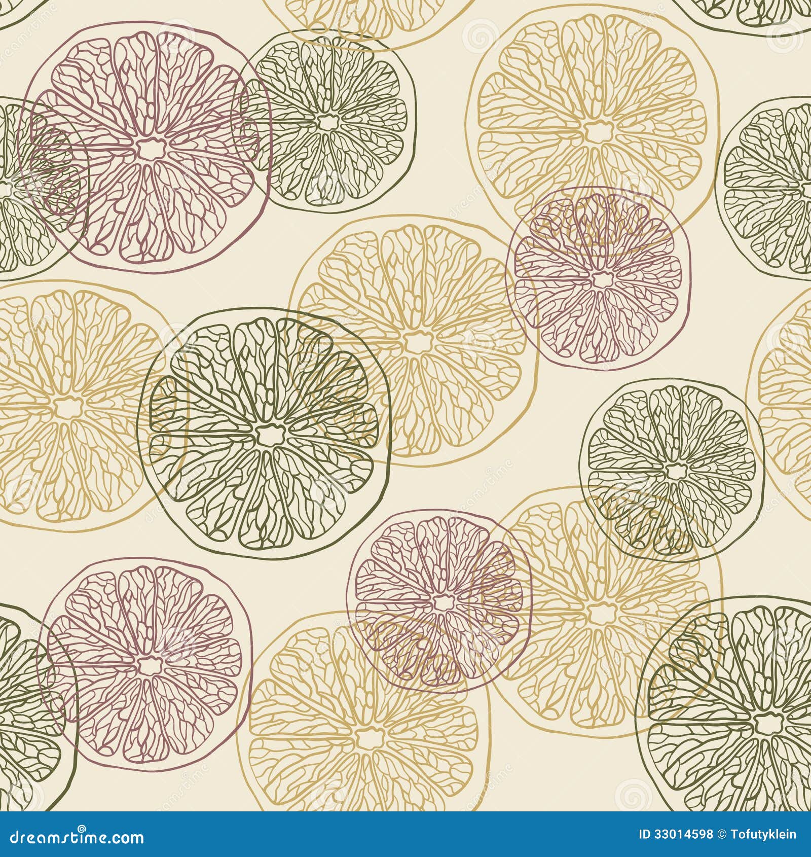 Grapefruit pattern stock vector. Illustration of juicy - 33014598