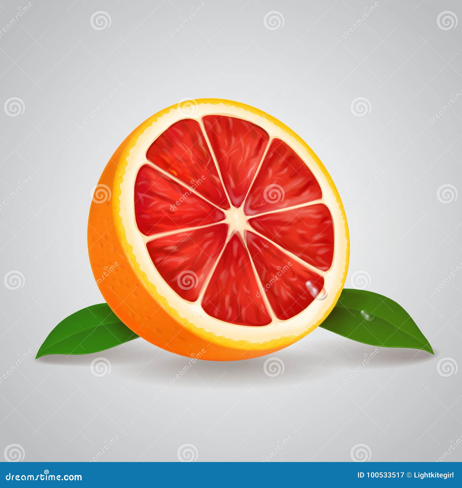 Grapefruit Realistic 3d Illustration with Leaves Vector Illustration Stock Vector - Illustration ...