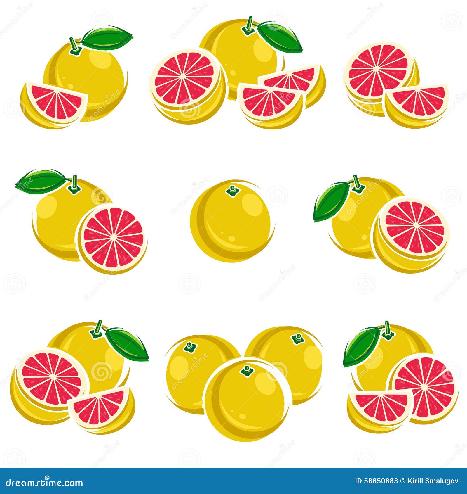 Grapefruit set. Vector stock vector. Illustration of labels - 58850883