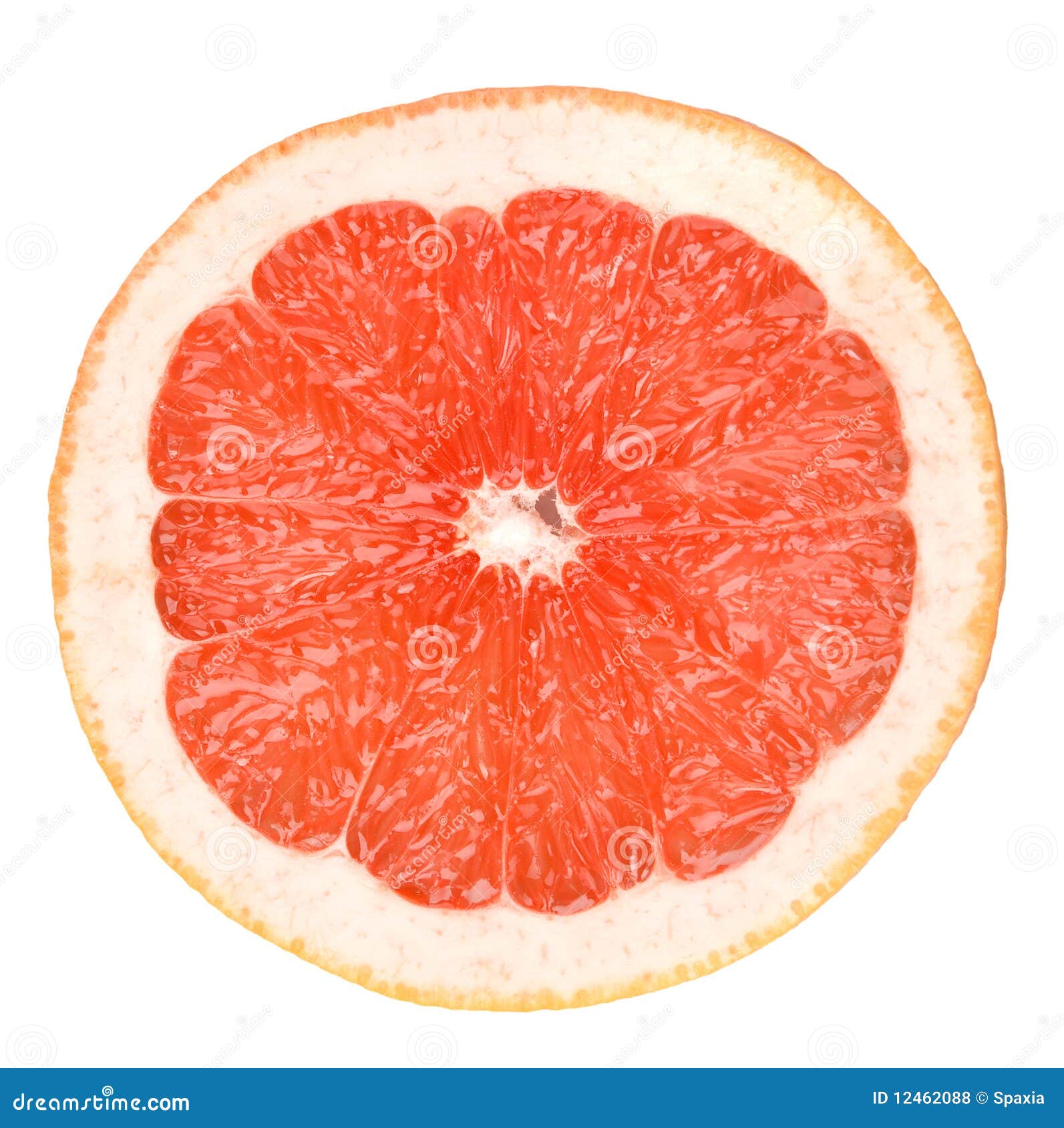 Grapefruit slice stock photo. Image of white, round, grapefruit - 12462088