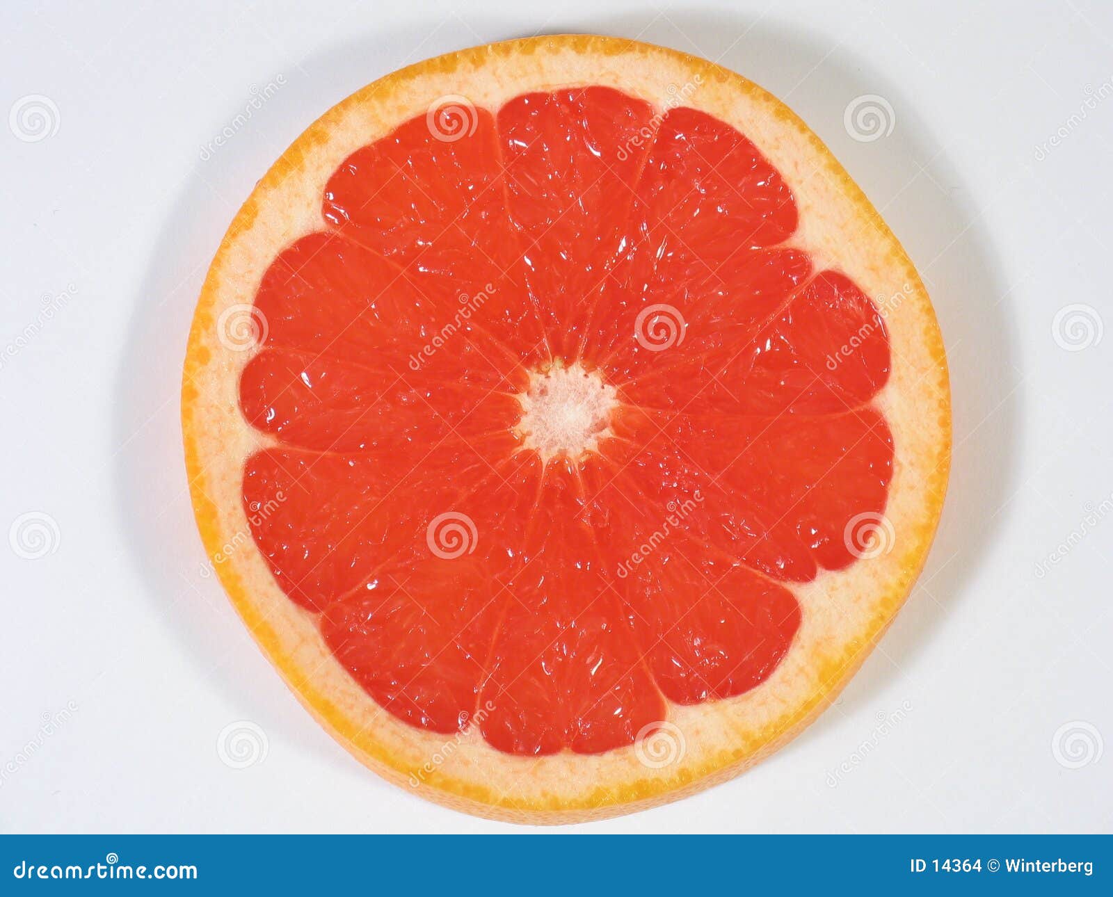 Grapefruit Slice stock photo. Image of citrus, closeups - 14364