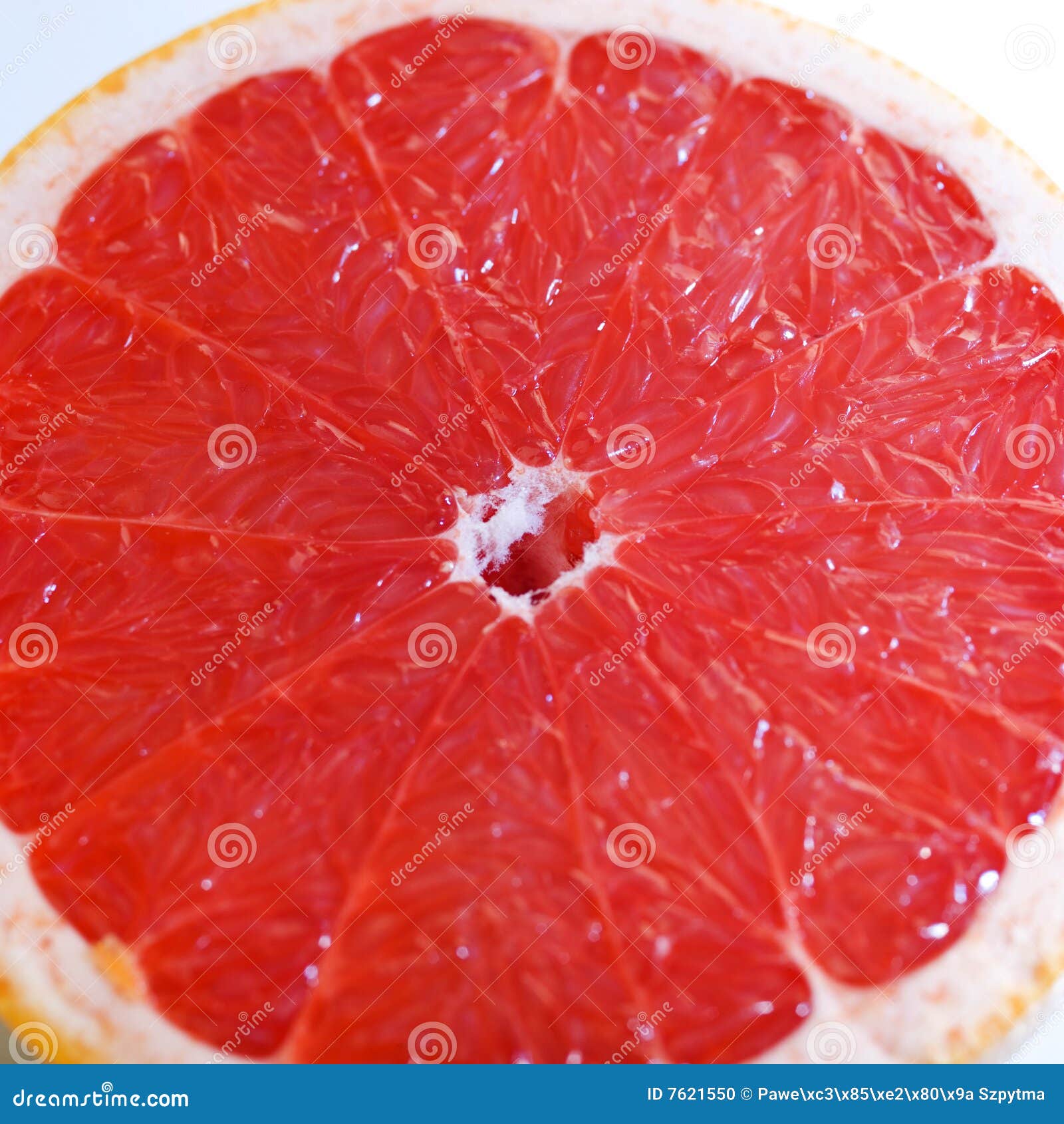 Grapefruit slice stock photo. Image of freshness, food - 7621550