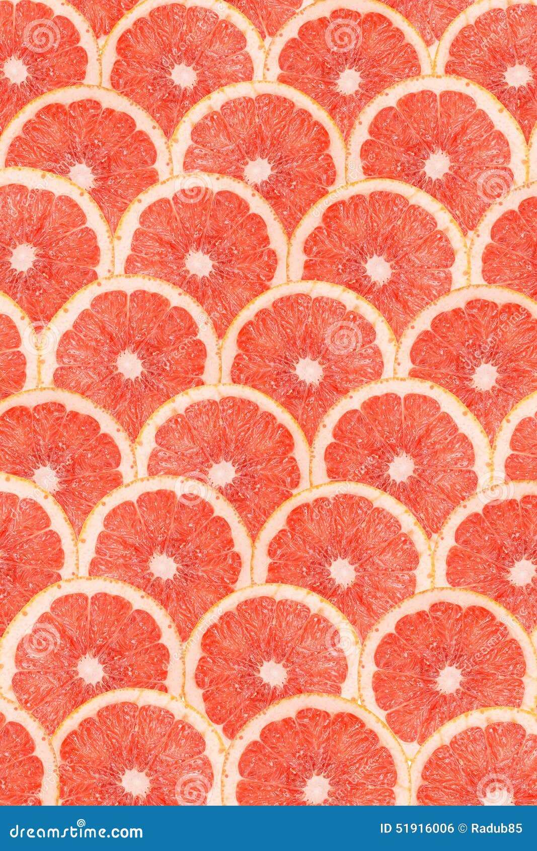Grapefruit Slice Abstract Seamless Pattern Stock Photo - Image of ...