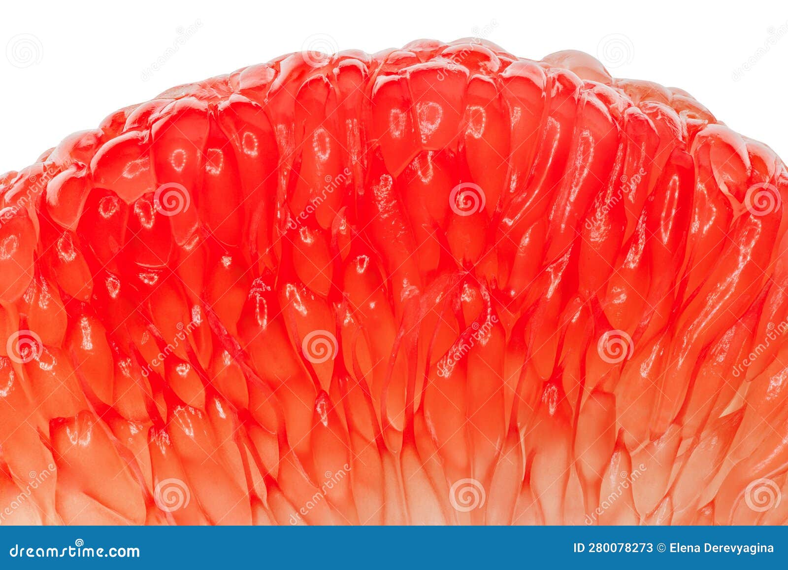Grapefruit Slice Peeled Segmented in Background Light, Close-up, Red ...
