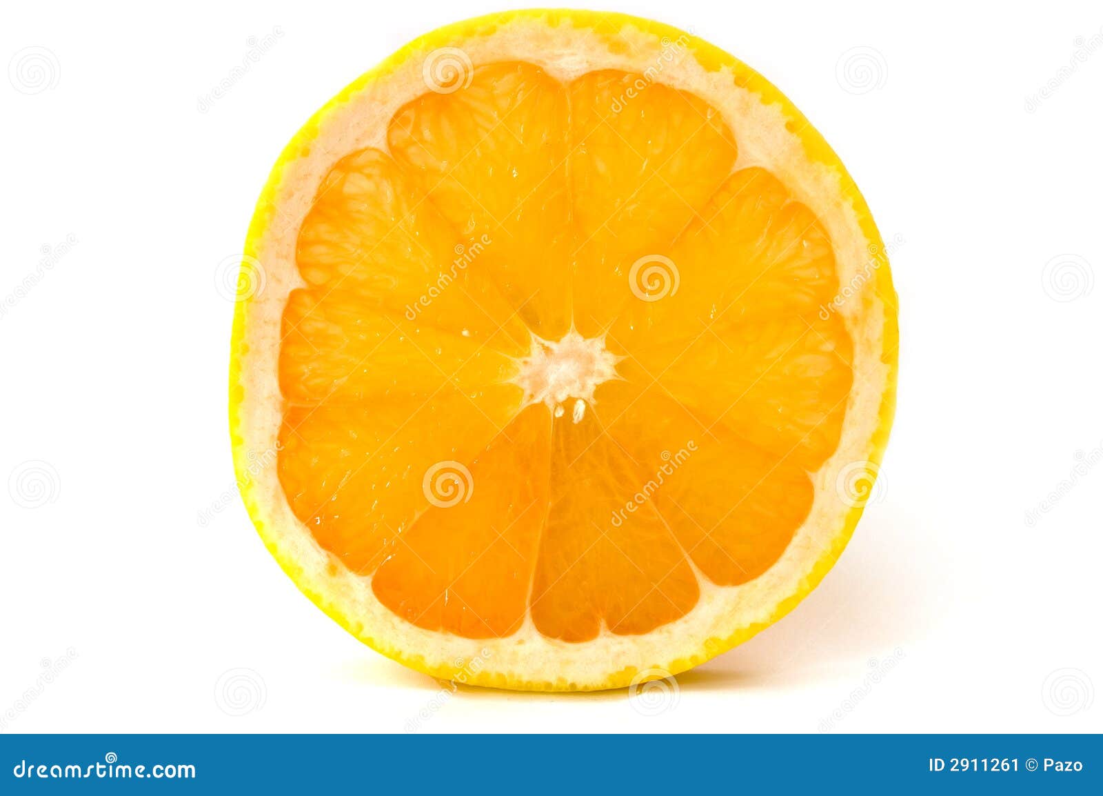 Grapefruit slices stock image. Image of healthy, tropical - 2911261
