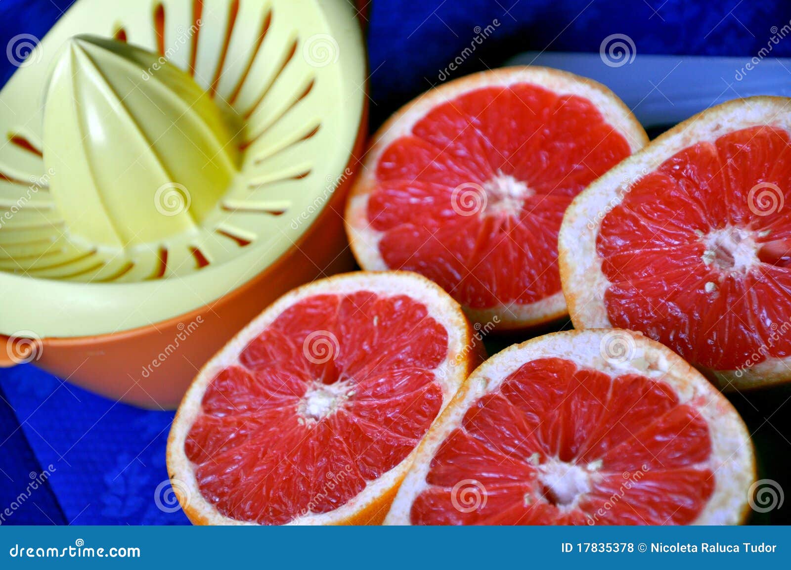 Grapefruit and squeezer stock photo. Image of finger - 17835378