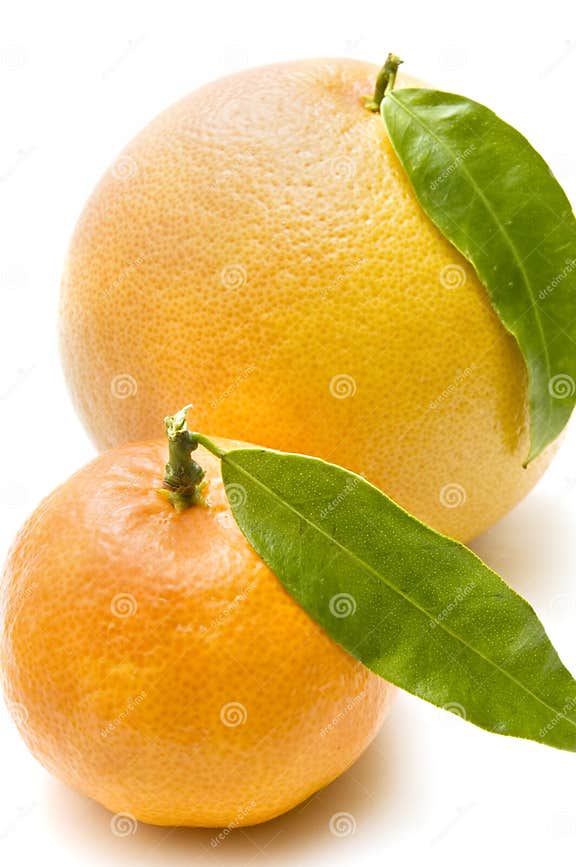 Grapefruit and tangerine stock photo. Image of health - 13159718