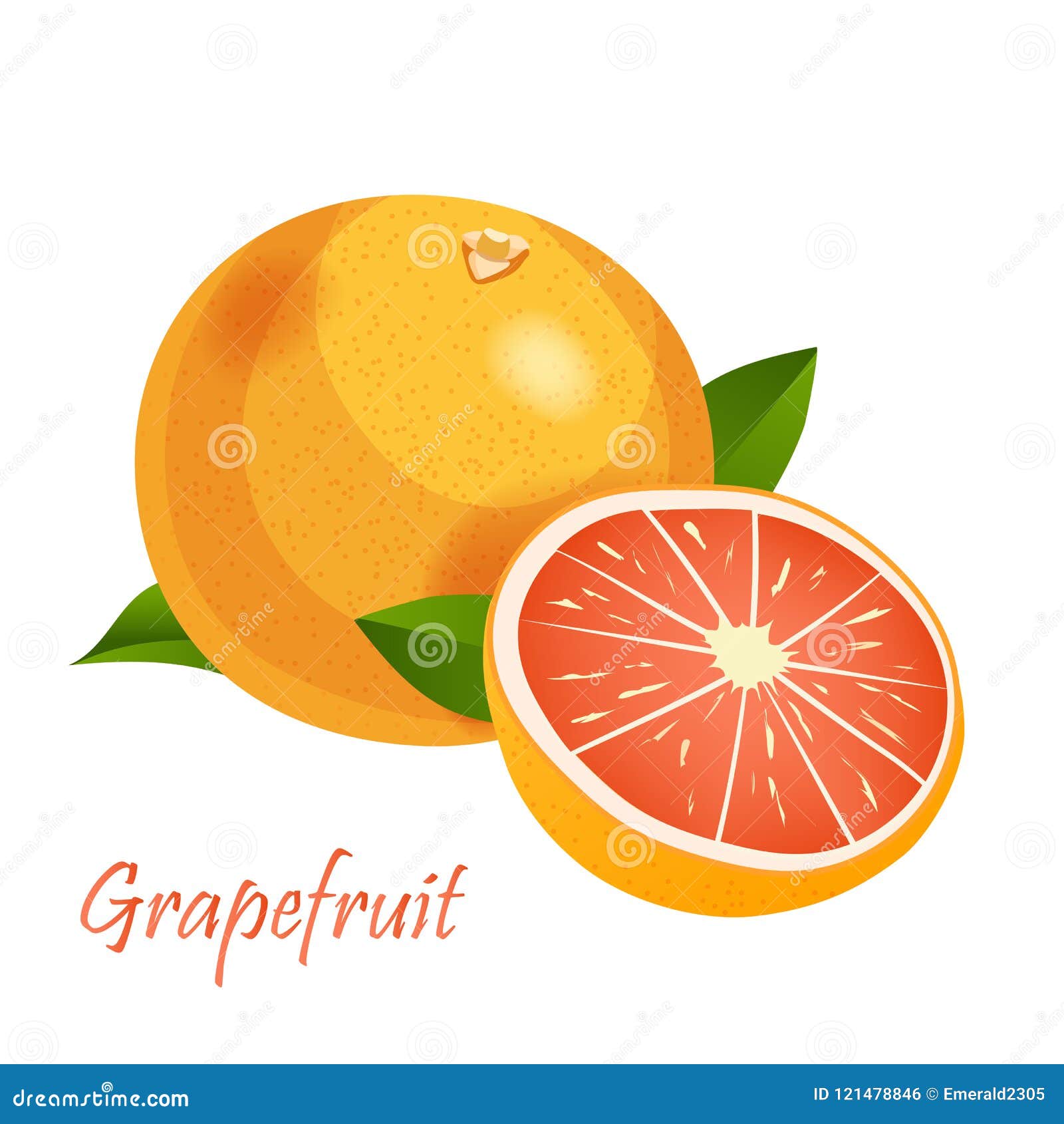 Grapefruit Vector Emblem Illustration Isolated on White. Stock Vector ...