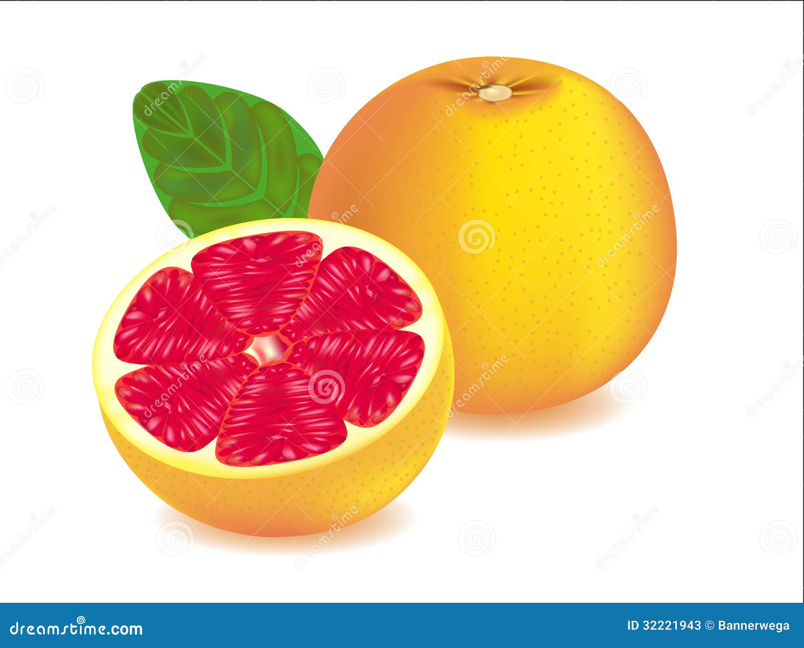 Illustration Grapefruit Stock Illustrations – 14,663 Illustration ...