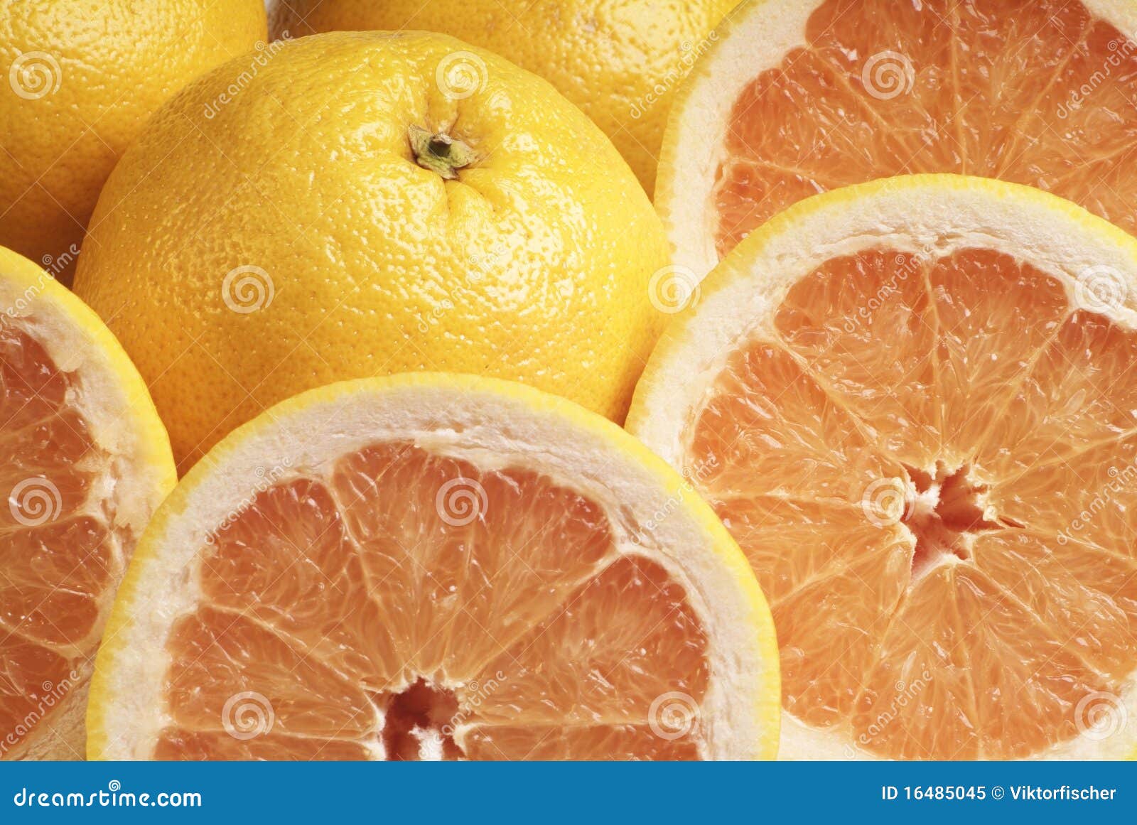 Grapefruits stock image. Image of tropical, juicy, diet - 16485045