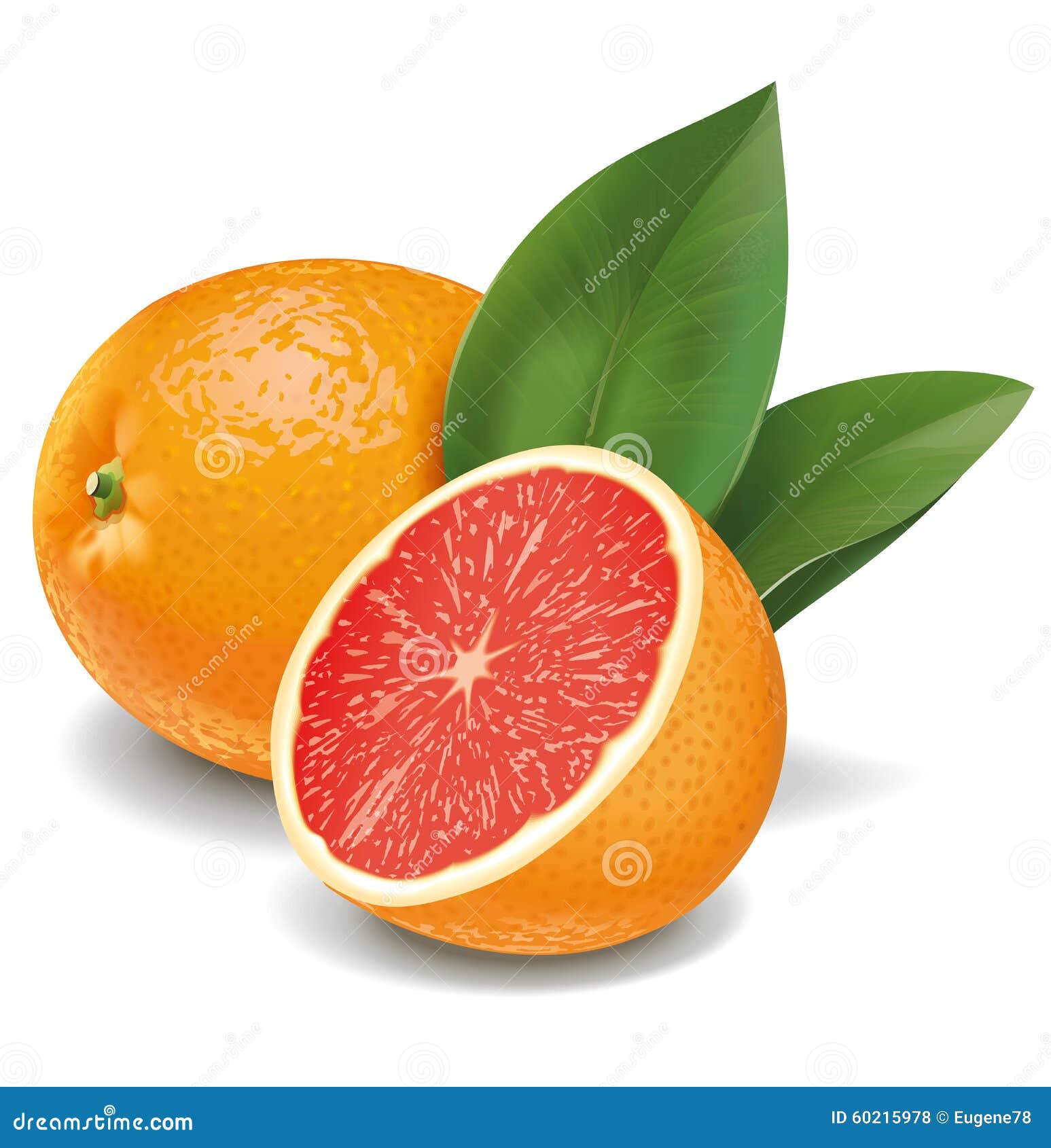Grapefruits Cartoons, Illustrations & Vector Stock Images - 8552 ...