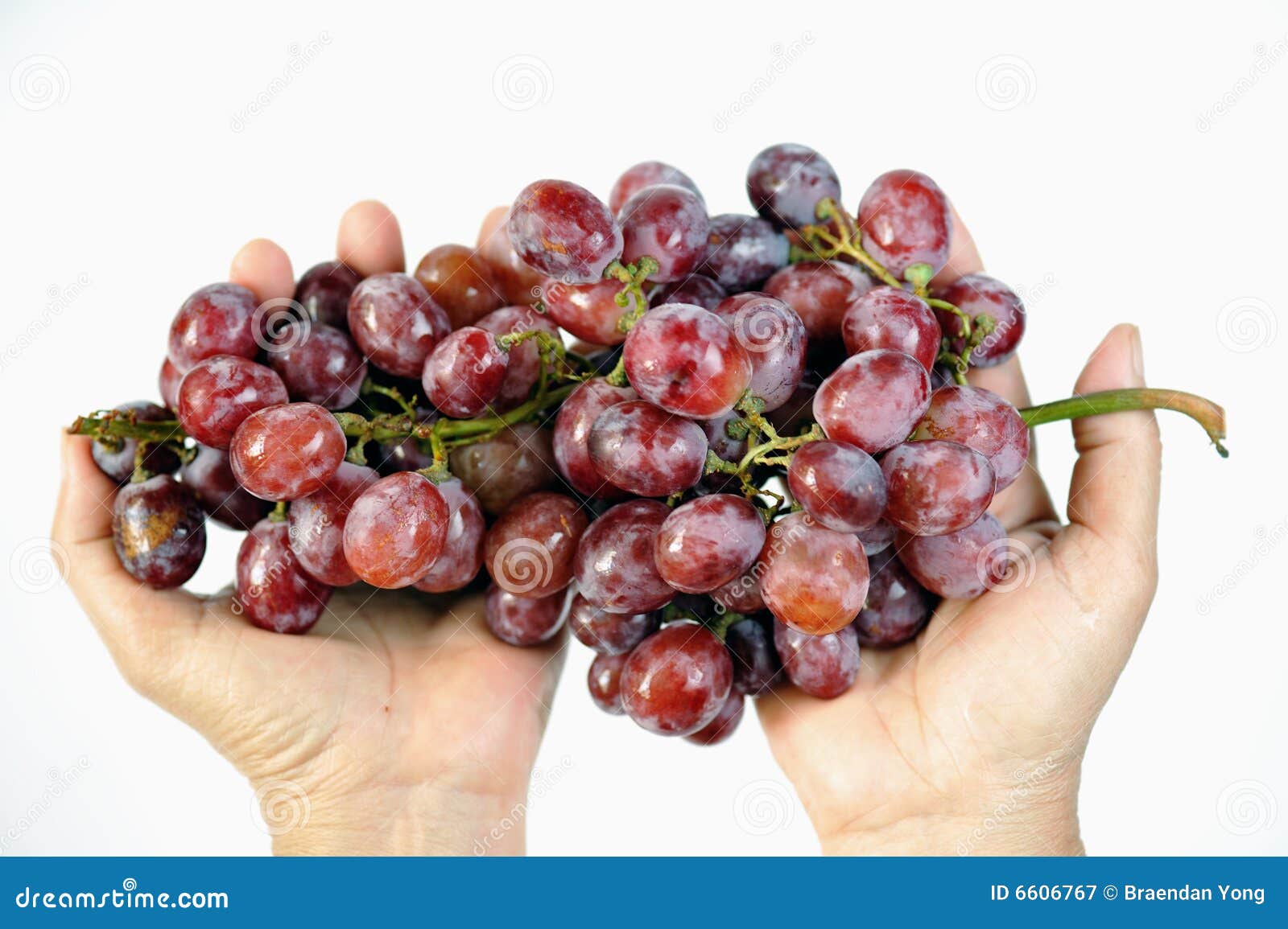 Grapes 1 stock image. Image of presenting, hands, produce - 6606767