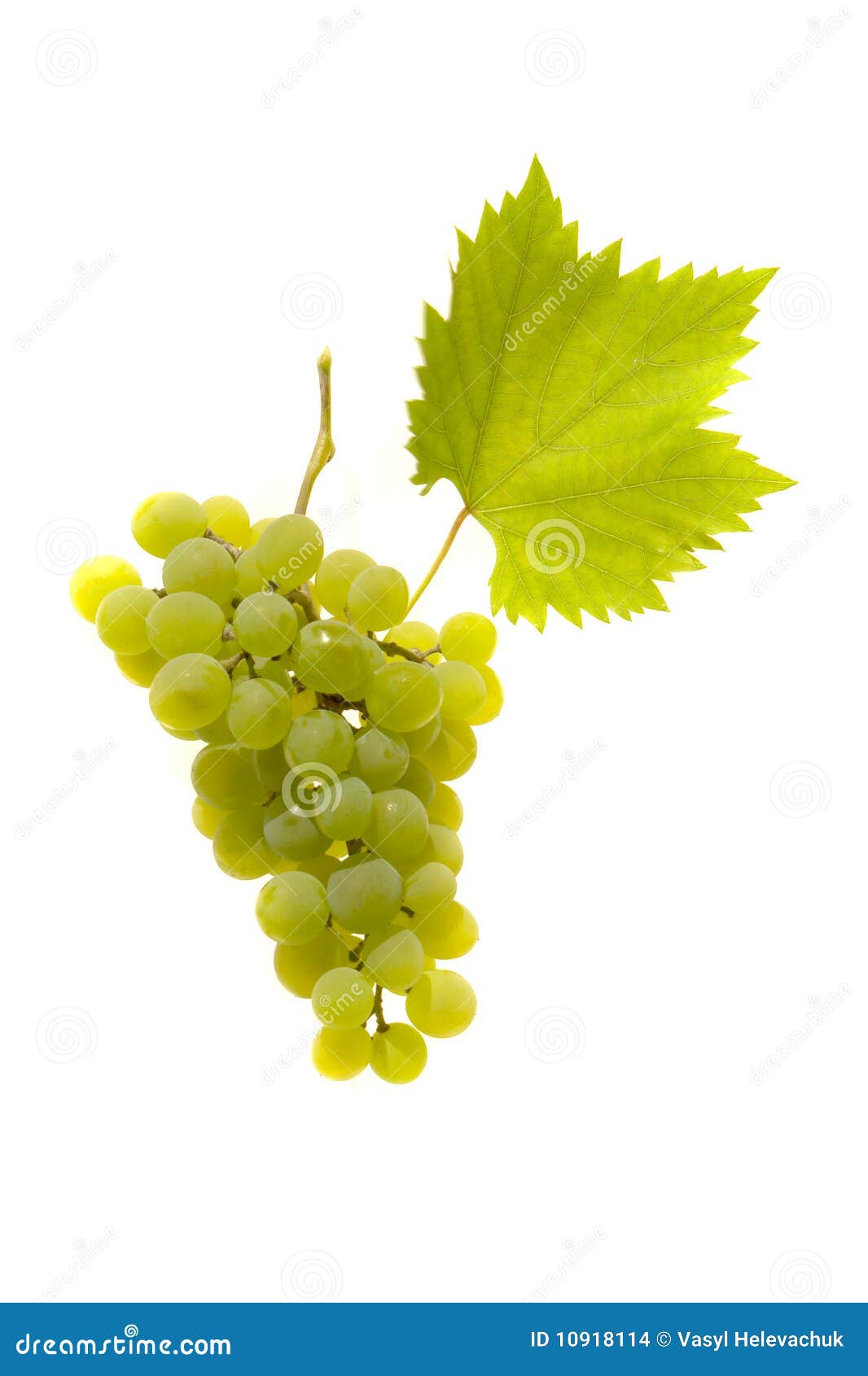 Grapes stock photo. Image of luscious, temptation, sweet - 10918114