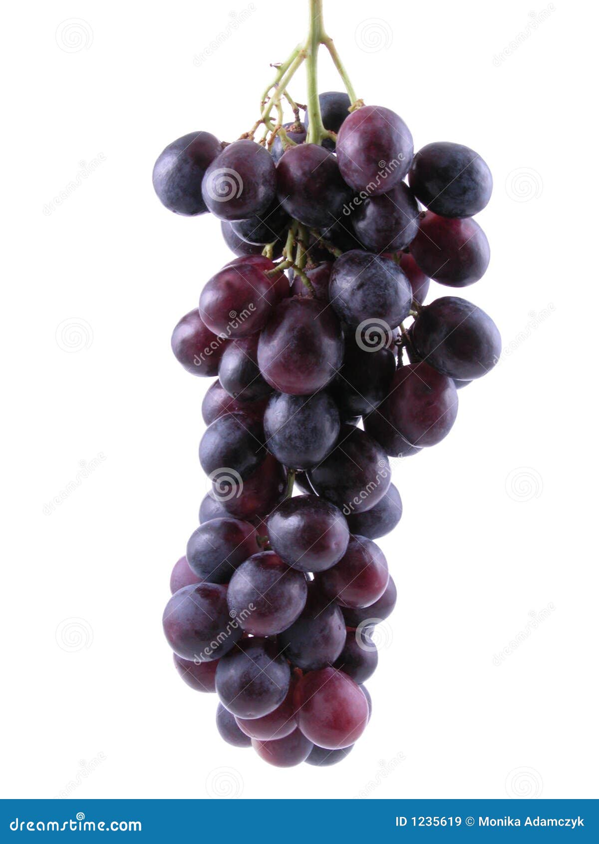 Grapes stock image. Image of summer, summertime, nutrition - 1235619
