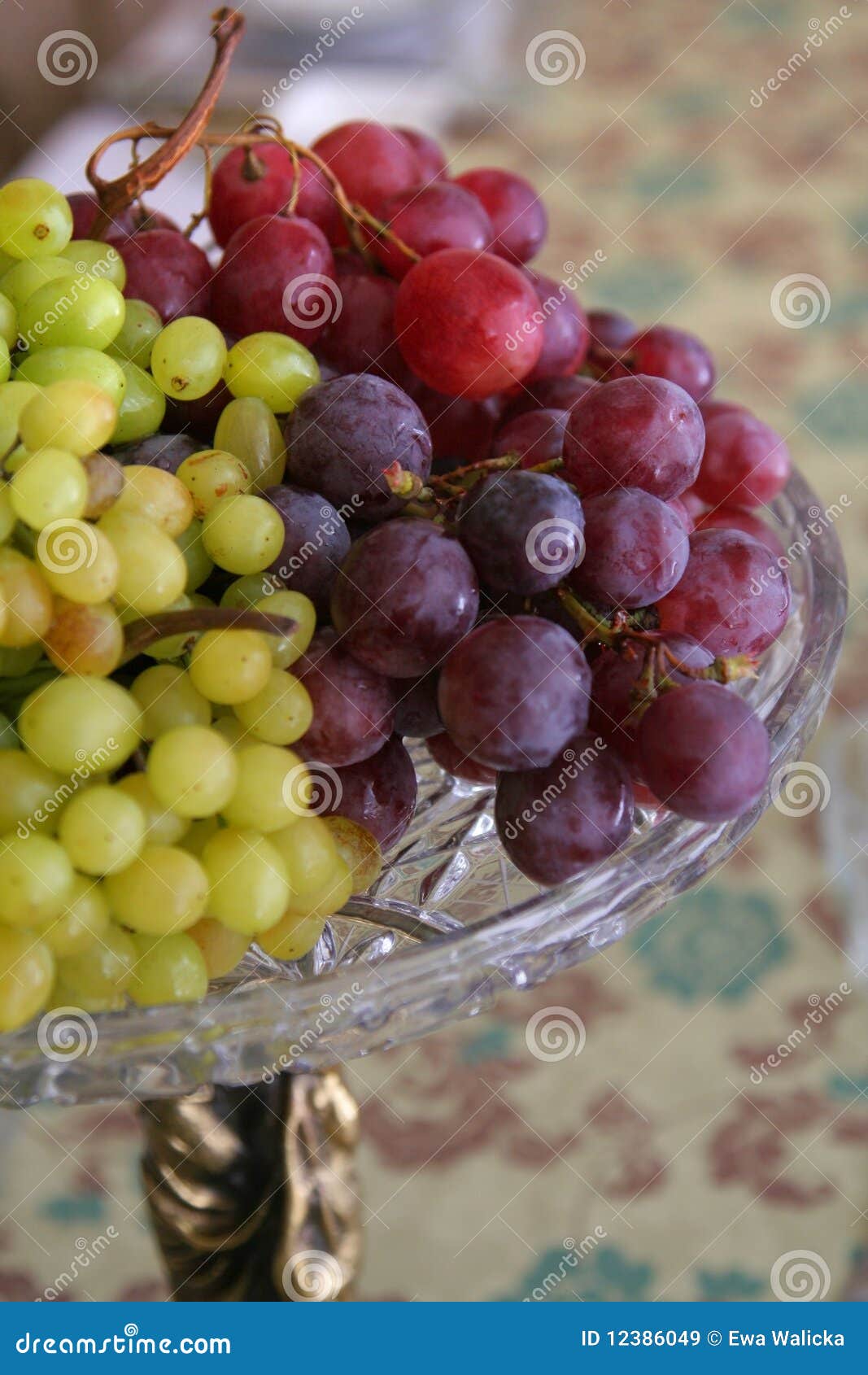 Grapes stock image. Image of food, green, decorative - 12386049