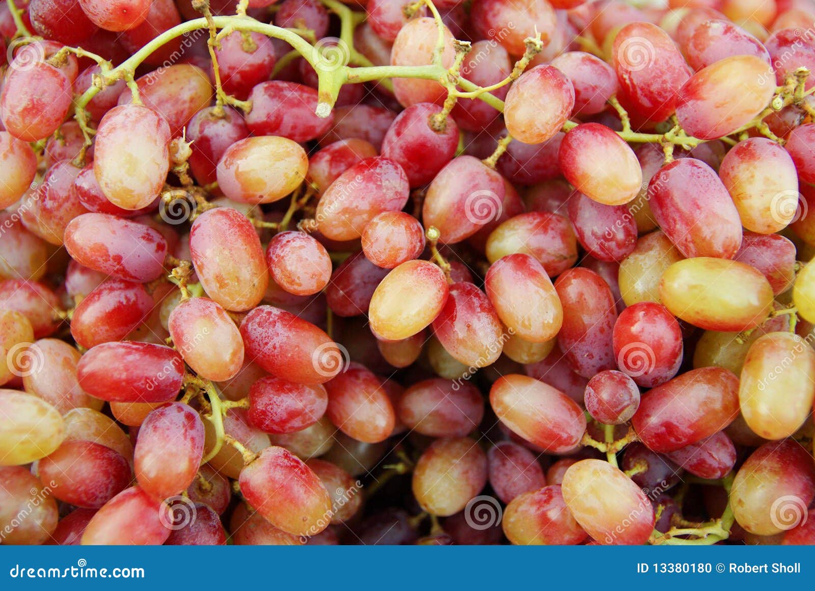 Grapes stock photo. Image of agriculture, nutrition, market - 13380180