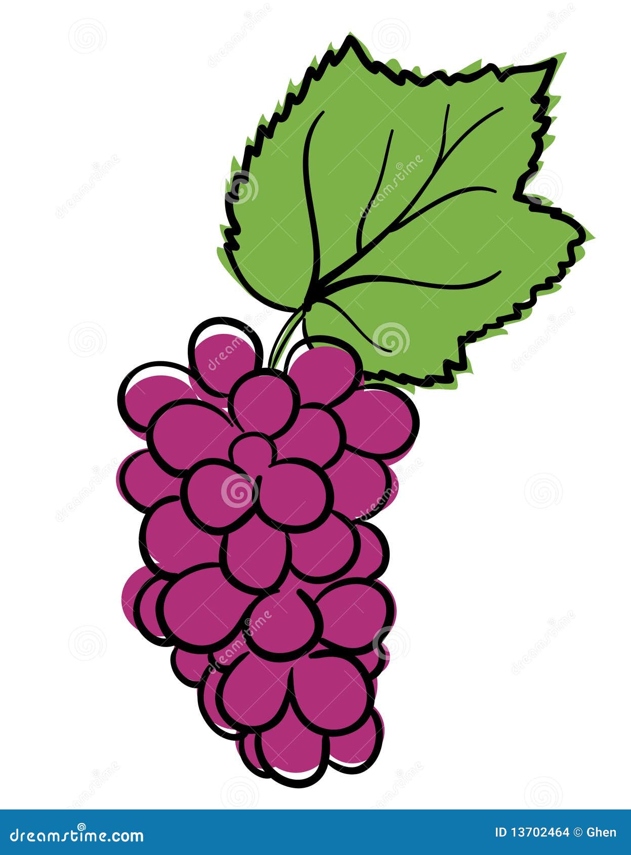 Grapes stock vector. Illustration of autumn, grapevine - 13702464