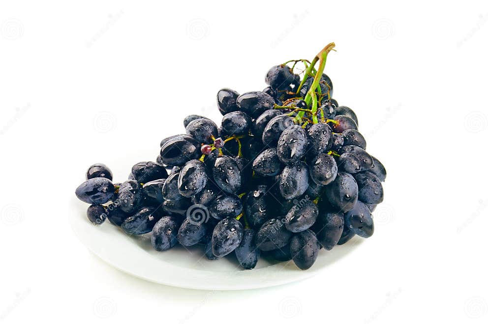 Grapes stock image. Image of grapevine, cluster, drop - 20963115