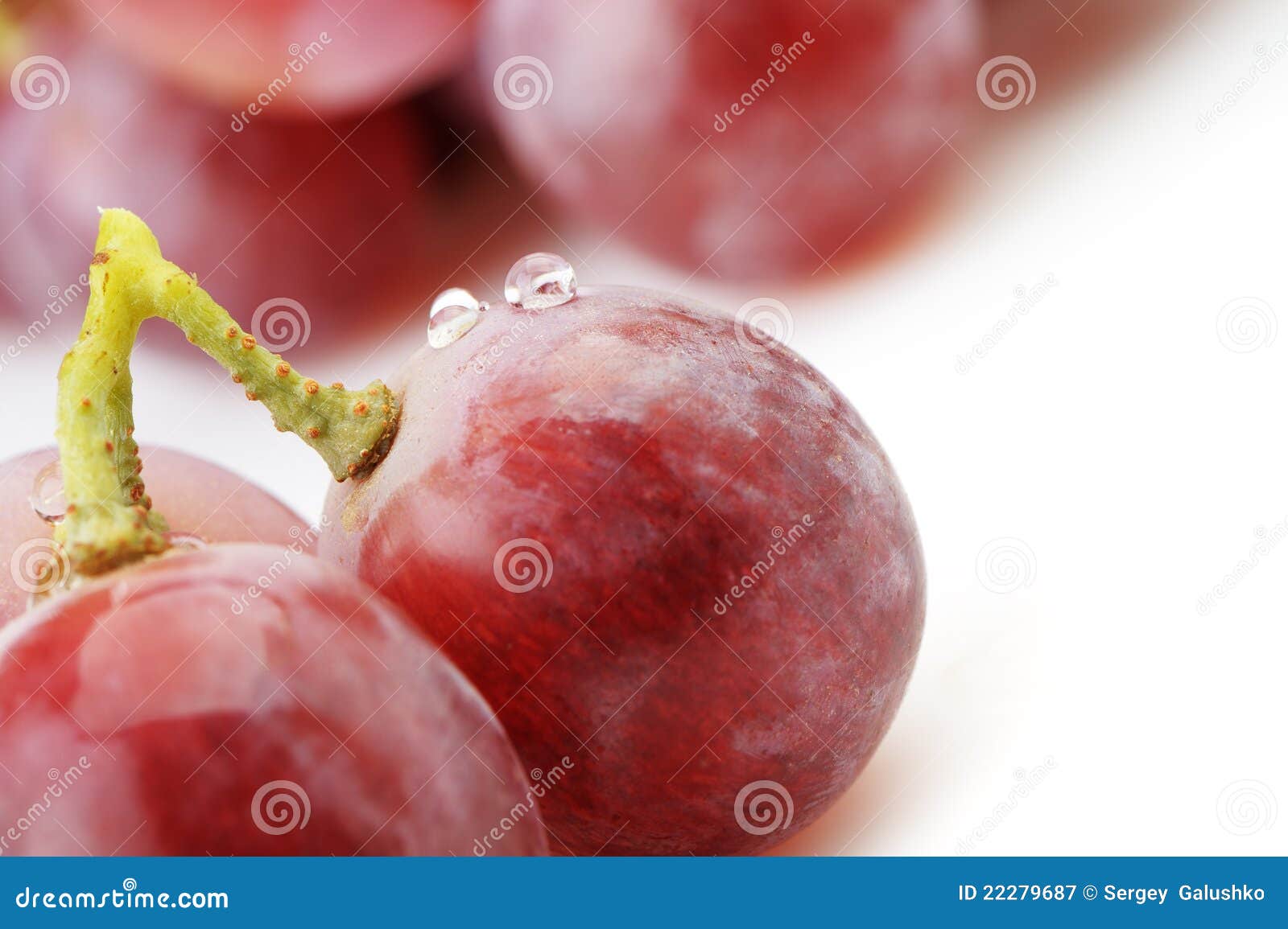 Grapes stock image. Image of bright, appetizing, food - 22279687