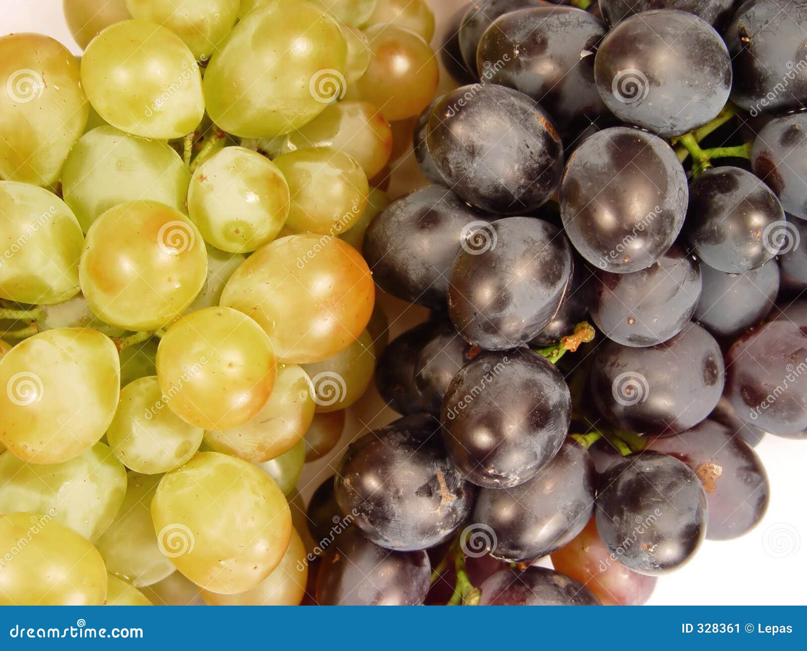Grapes stock image. Image of grapes, amber, grow, chenin - 328361
