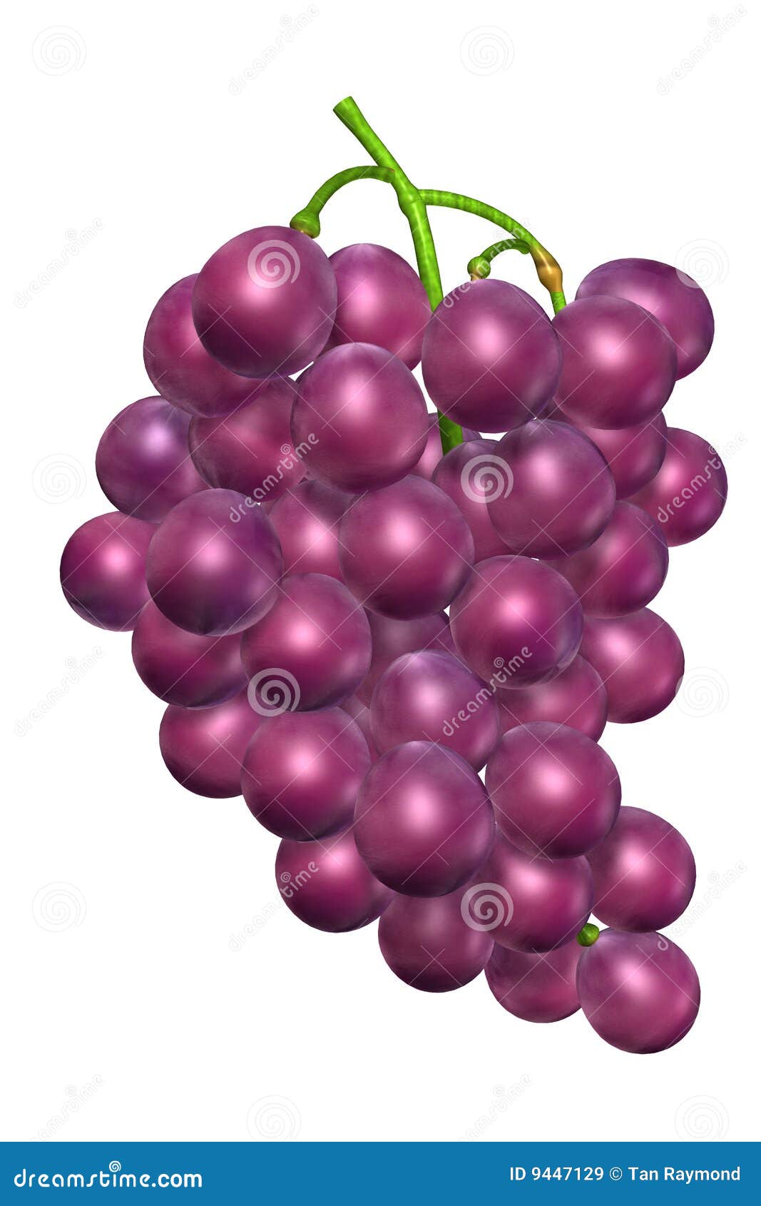 Angur Stock Illustrations – 3 Angur Stock Illustrations, Vectors ...