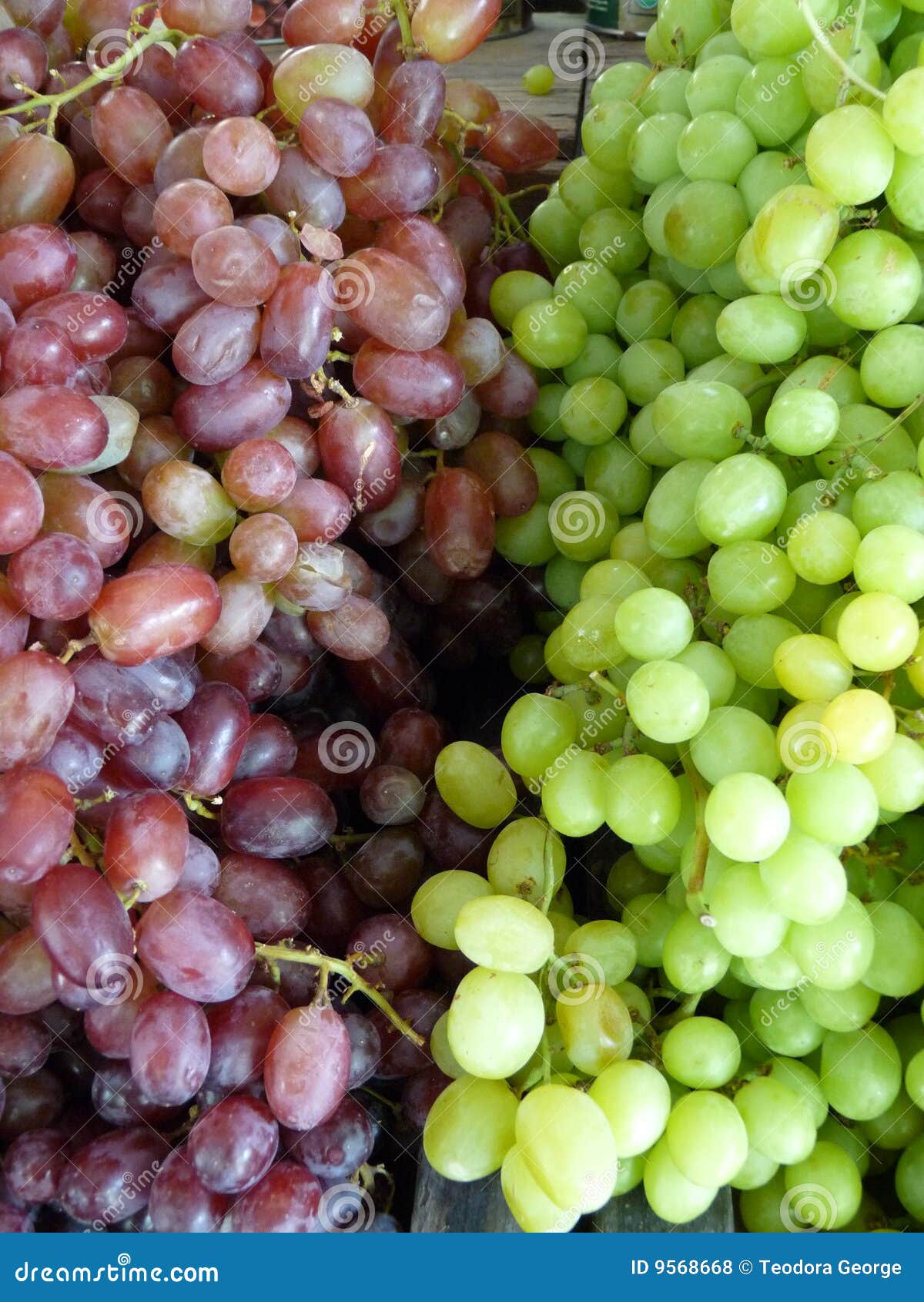 Grapes stock photo. Image of healthy, fruit, garden, grapes - 9568668