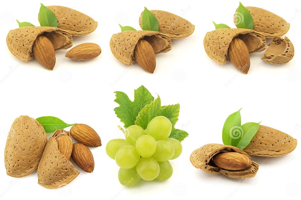 Grapes and almonds stock image. Image of food, ripe, isolated - 12054847