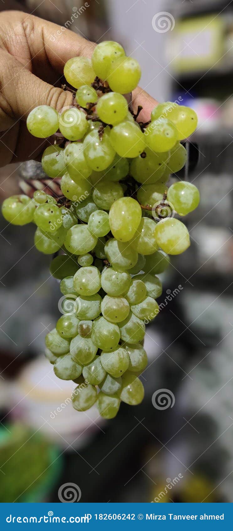 Angur Angoor Green Indian Stock Photos - Free & Royalty-Free Stock ...