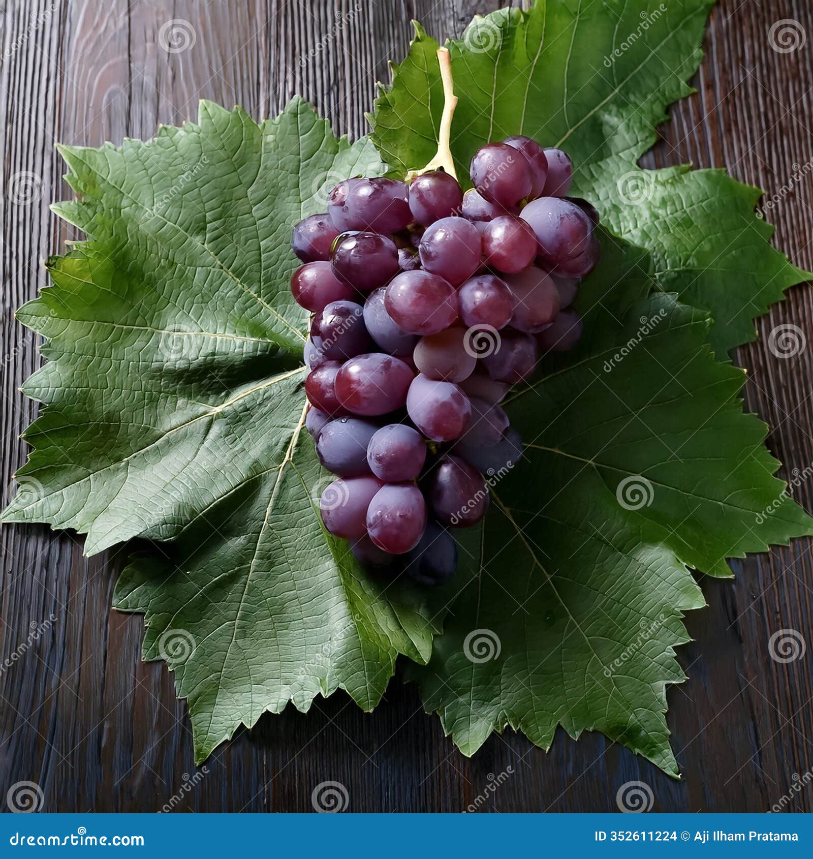 Grapes are Arranged on Large Real Grape Leaves Stock Photo - Image of ...