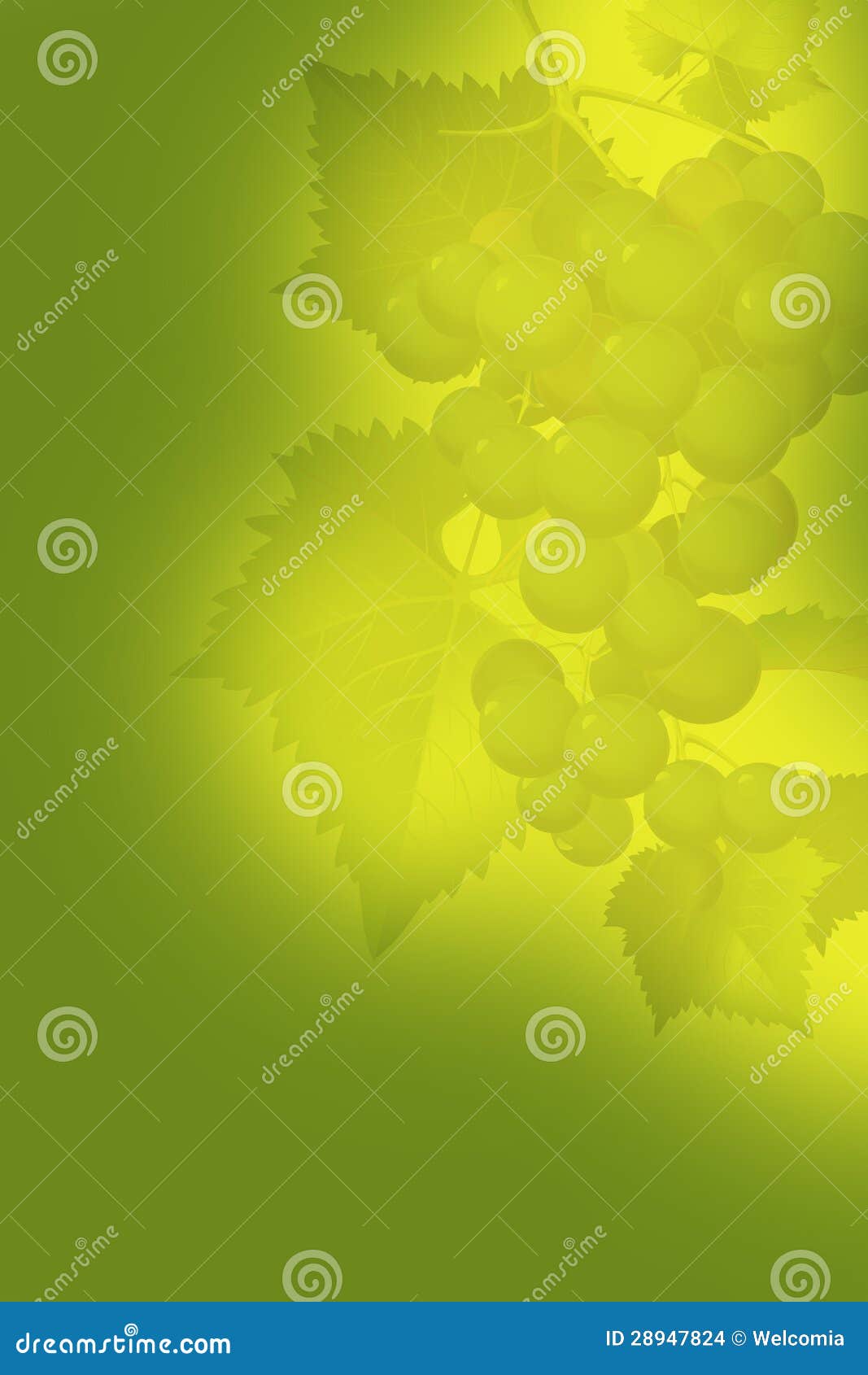 Grapes Background stock illustration. Illustration of vineyard - 28947824