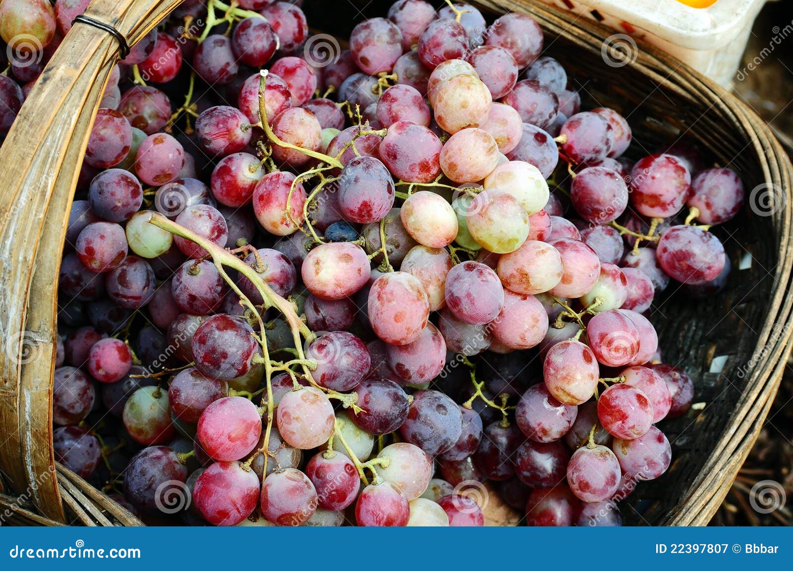 Grapes in a basket stock image. Image of ripe, cluster - 22397807