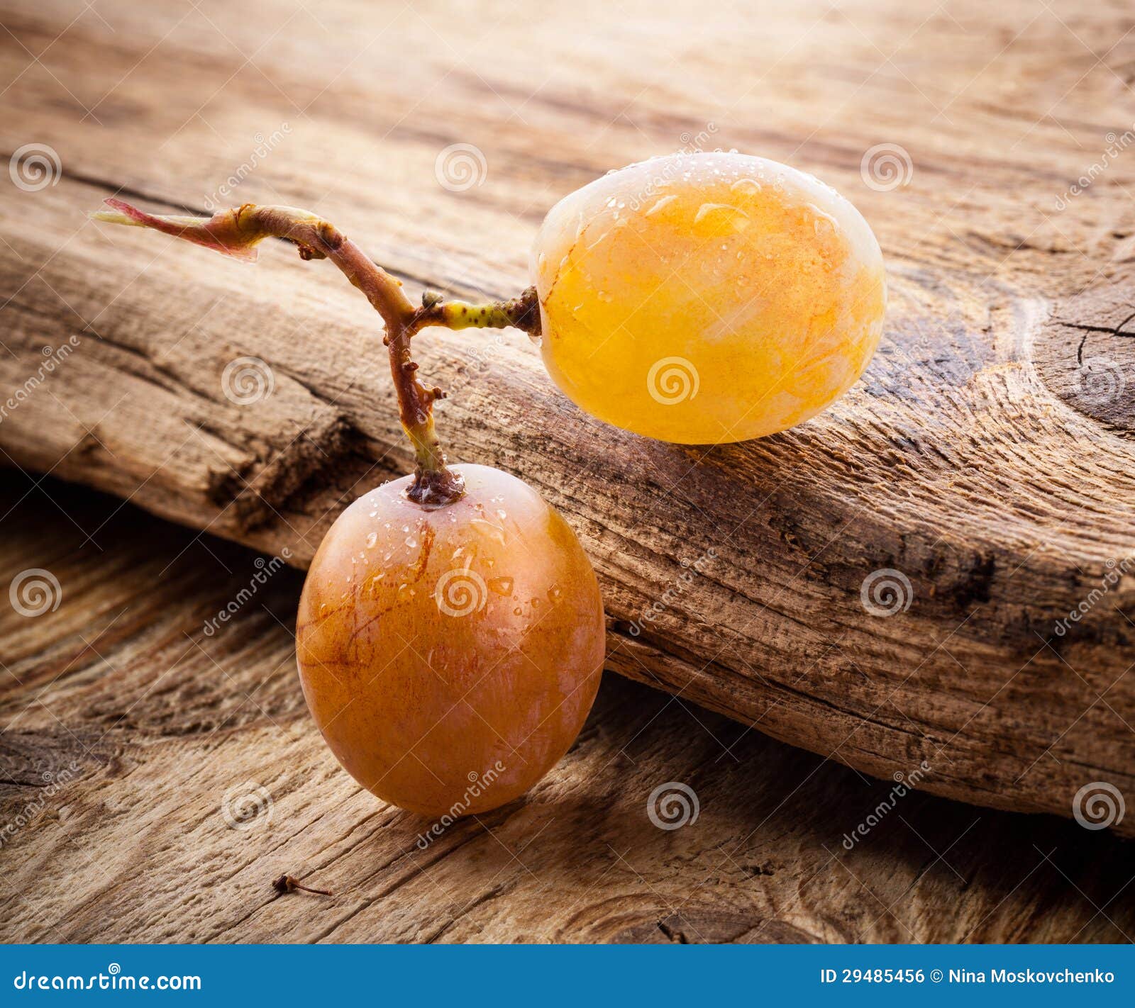 Grapes berry stock photo. Image of countryside, countrified - 29485456