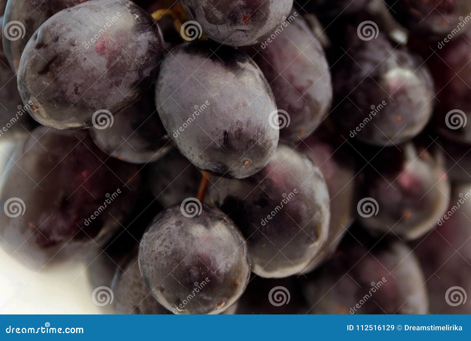 Grapes blue close up stock image. Image of sugar, sweet - 112516129