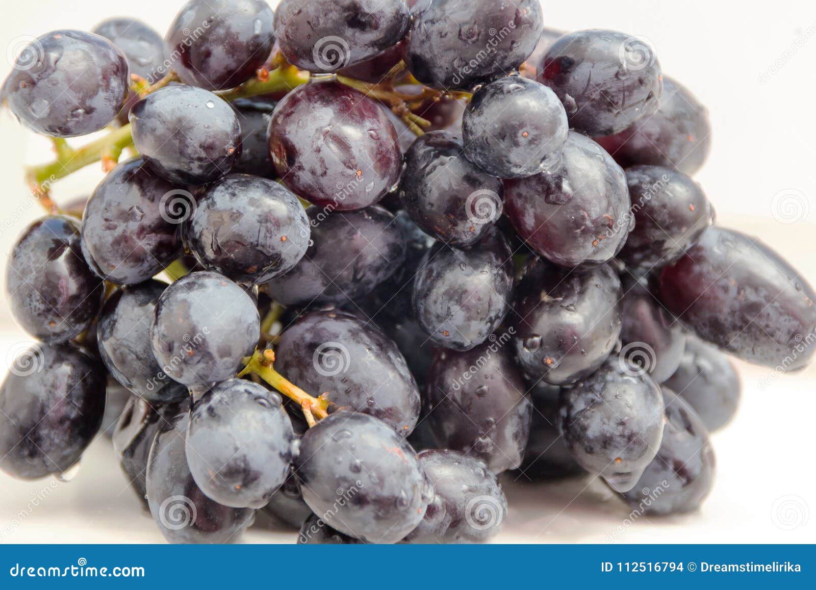 Grapes blue close up stock photo. Image of blue, close - 112516794